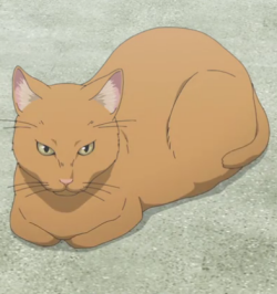 Noraneko - Character (112872) - AniDB