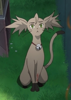 Nina (Neko) - Character (115728) - AniDB