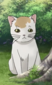 Neko - Character (121388) - AniDB