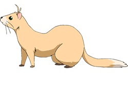 Yuuno Scrya - Character (21176) - AniDB