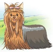 Sebastian - Character (34230) - AniDB