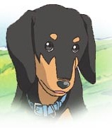 Sora - Character (34238) - AniDB