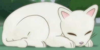 Koneko - Character (34531) - AniDB