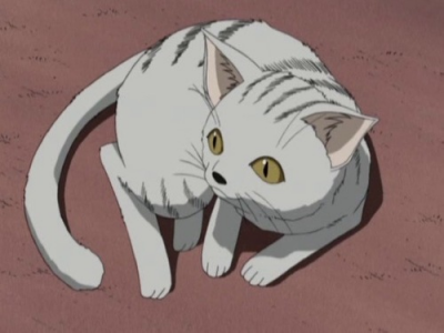 Kit - Character (143962) - AniDB