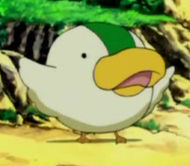 Kamo-kamo - Character (44097) - AniDB