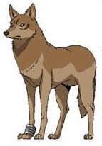 Tooboe - Character (45800) - AniDB