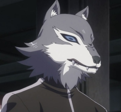 Ookami - Character (35353) - AniDB