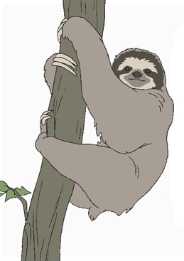 Namakemono - Character (42403) - AniDB